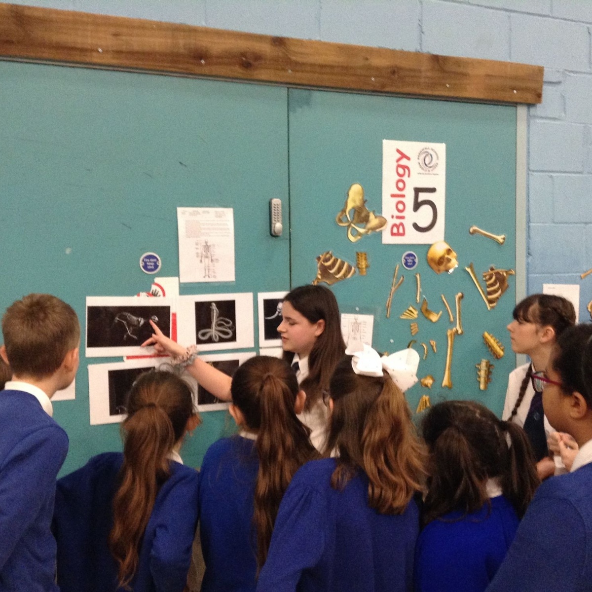 Roebuck Academy - Year 6 at Barnwell School