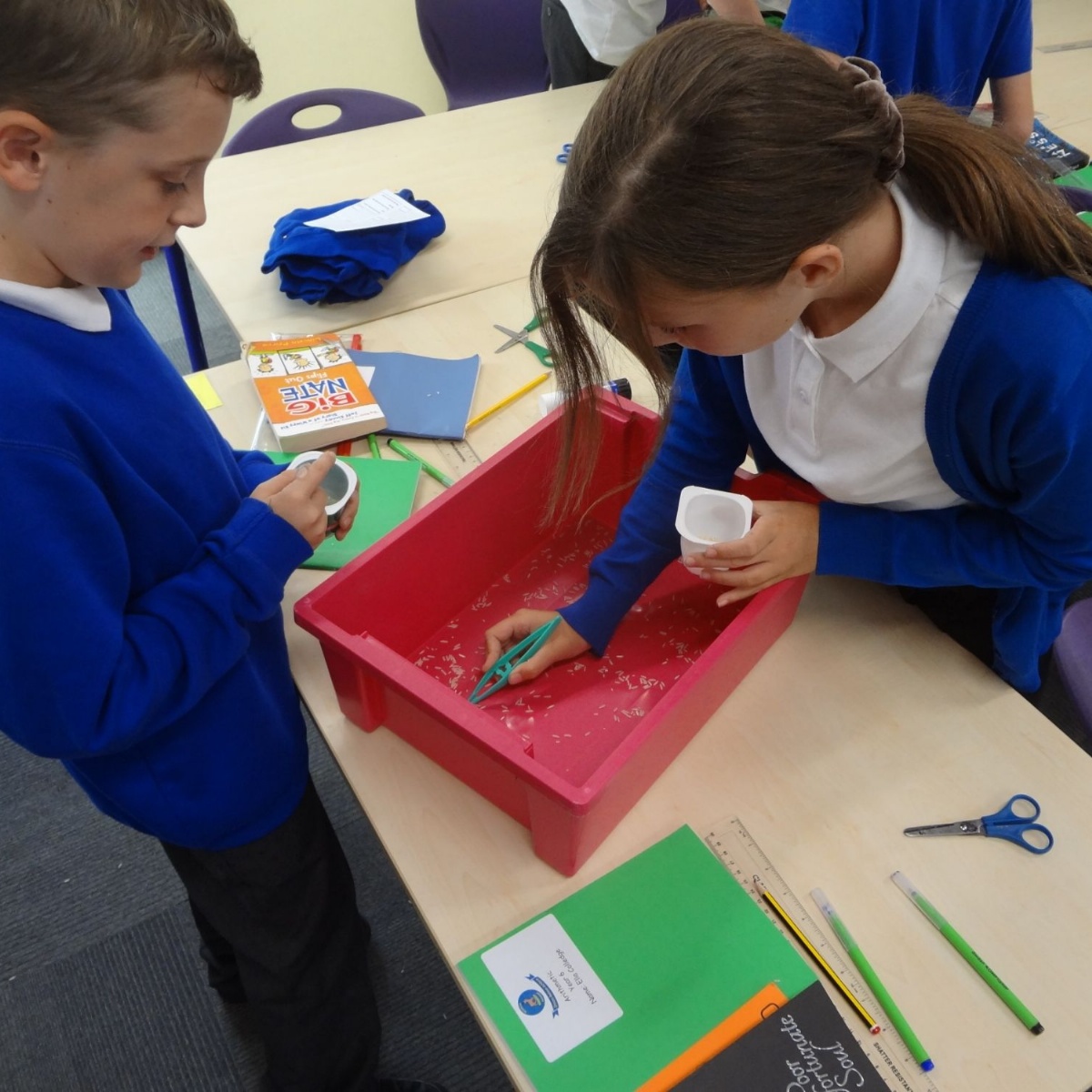 Roebuck Academy - Year 6 Darwin's Finches